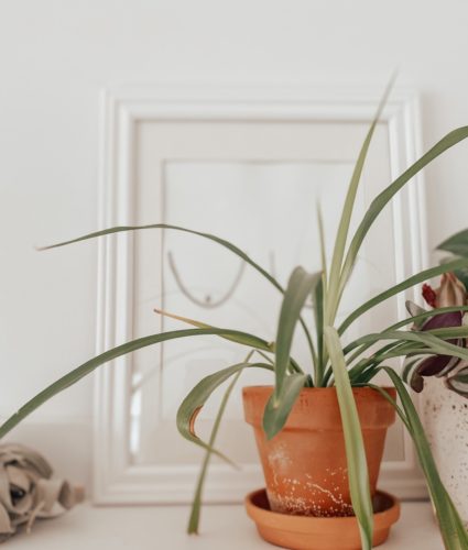 How To Create A Tiny Office - Office Tour! - The Blush Home Blog