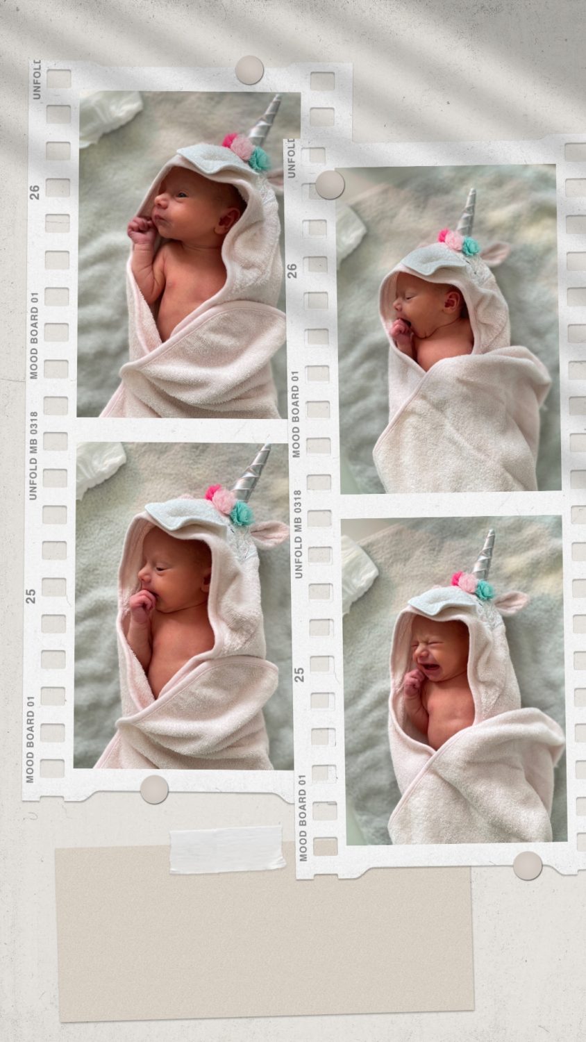 A Life Update and Our New Baby - The Blush Home Blog